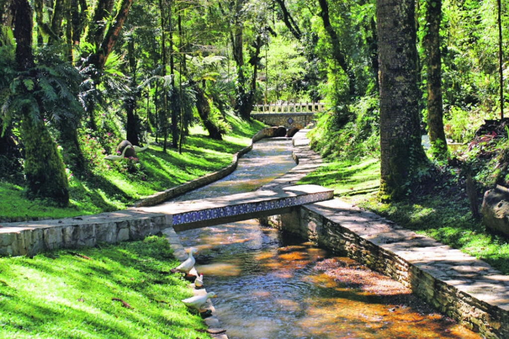 O que fazer em Campo Largo - Mais Campo Largo